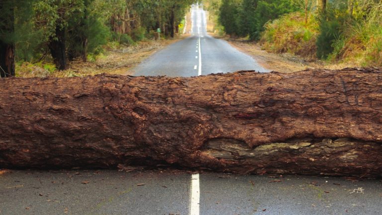 Enclaria: Influence Change at Work